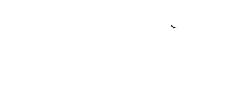 SAPPY STUFF | All the Stuff That Makes Us Sappy