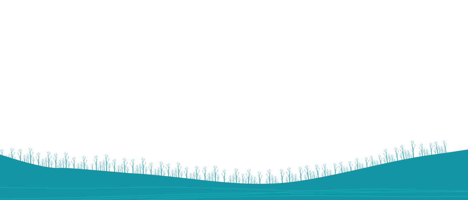 SAPPY STUFF | All the Stuff That Makes Us Sappy