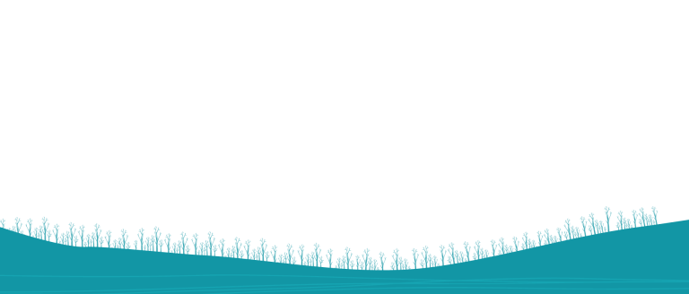 SAPPY STUFF | All the Stuff That Makes Us Sappy