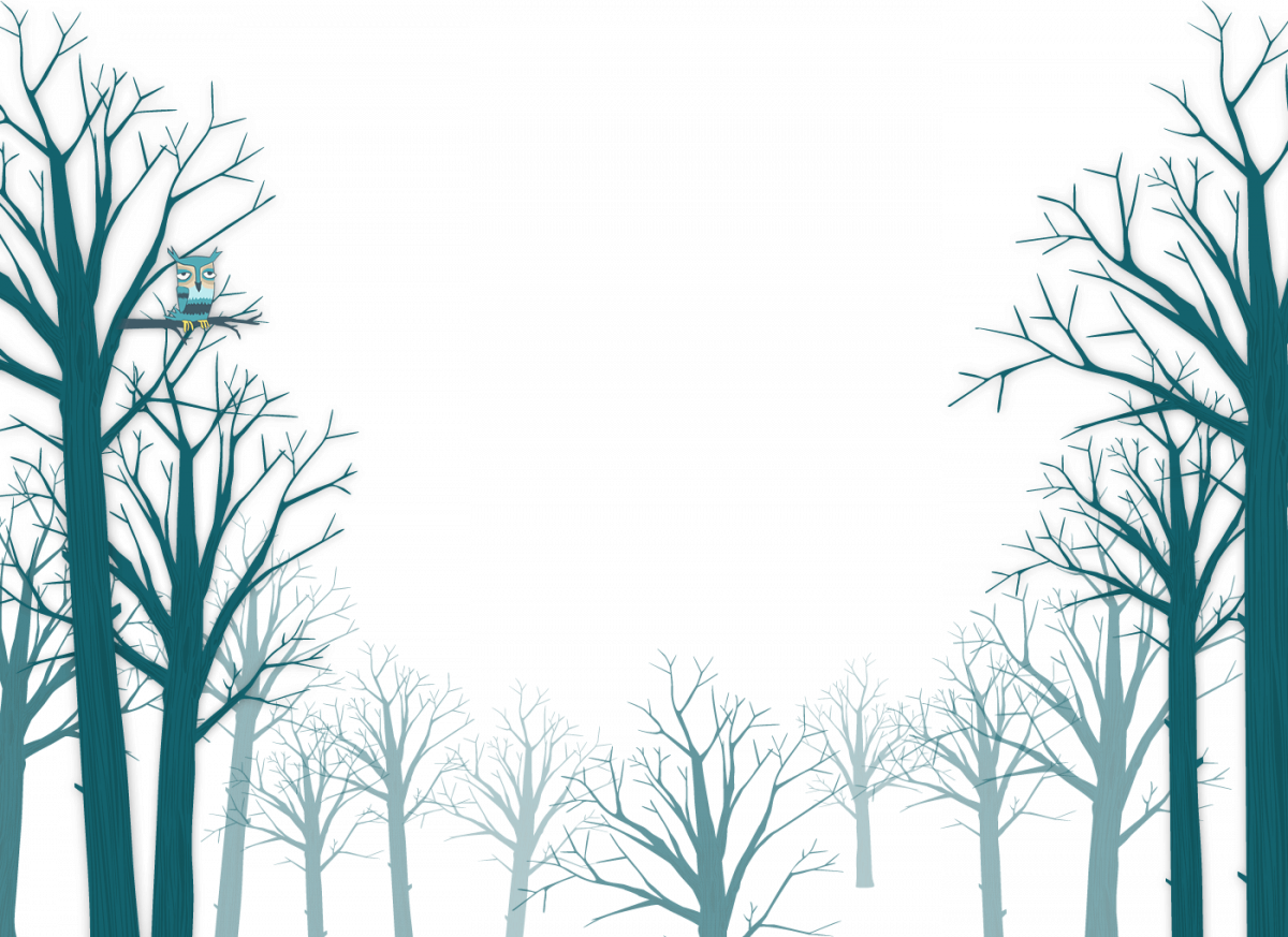 SAPPY TREES | How We Protect Our Forest