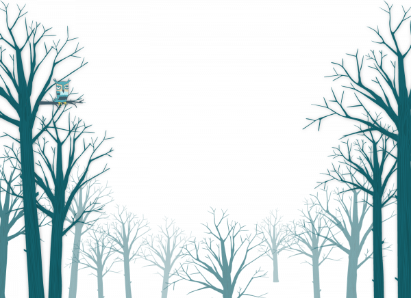 SAPPY TREES | How We Protect Our Forest